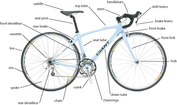 Basic Guide to Bikes – LizQuilty.com
